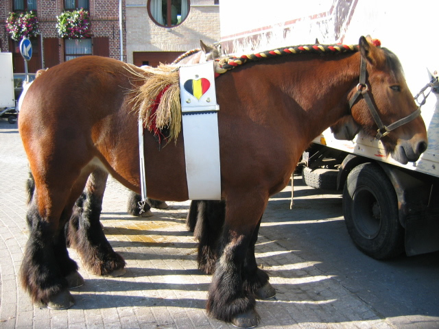 Jaarmarkt en oktoberkermis in Lembeek | Stad Halle